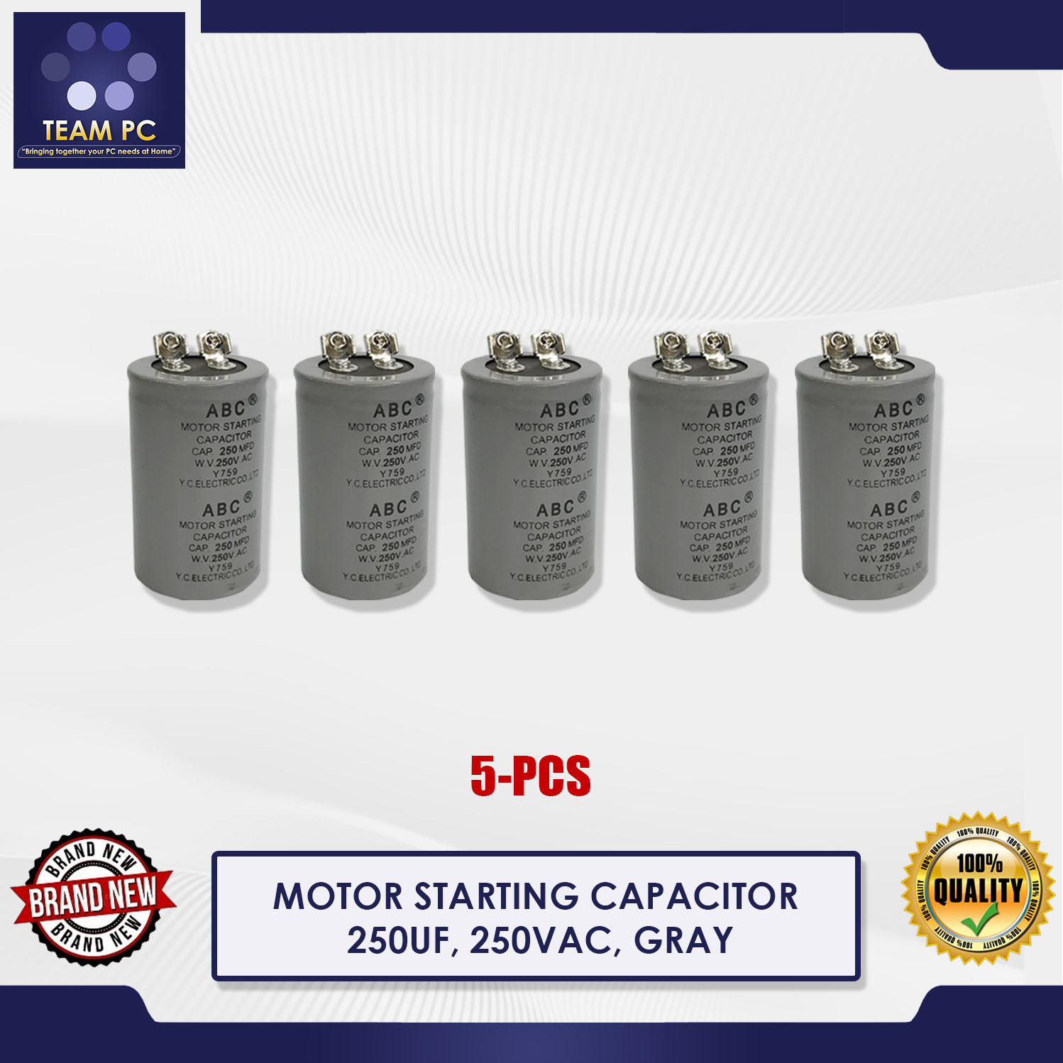 MOTOR STARTING CAPACITOR 250UF, 250VAC, GRAY | Lazada PH