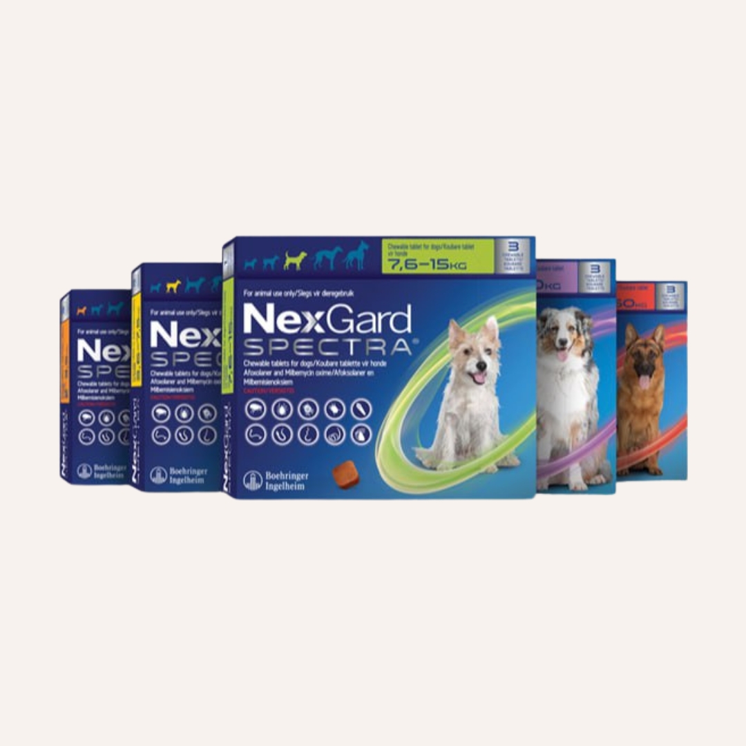 Nexgard and Nexgard Spectra Tick and Flea Protection Chewable Tablet ...