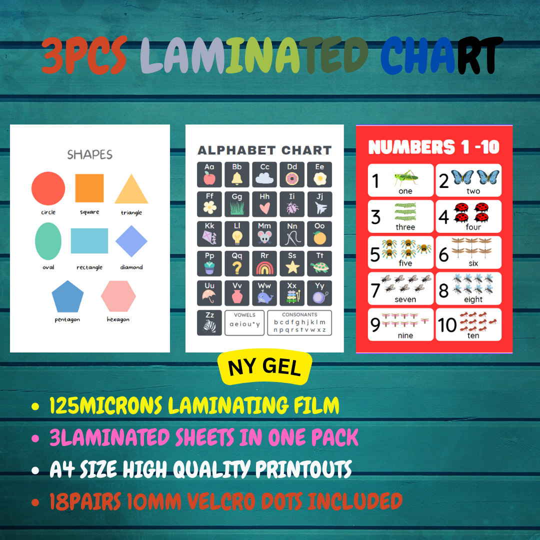 Educational Laminated Chart For Kids High Quality Prints | Lazada PH