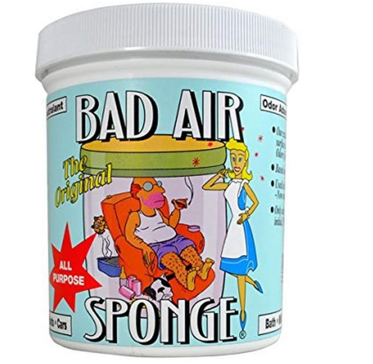 Bad Air Sponge Air Odor Absorbent | Lazada PH
