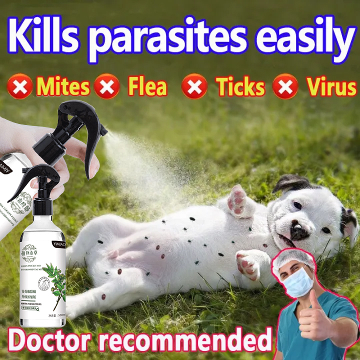 500ML Tick and Flea Spray Pulgas Remover for Cat and Dog Pet Anti ...