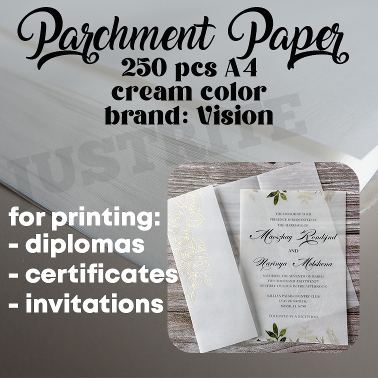 Vision Parchment Paper A4 Size 85 GSM 250 pieces Certificate Diploma ...