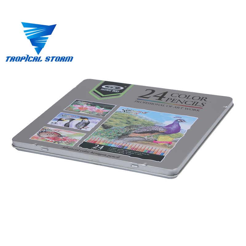 TS 12pcs Color Pencil Oily Color Pen Sketch Pencil Set Iron Box ...