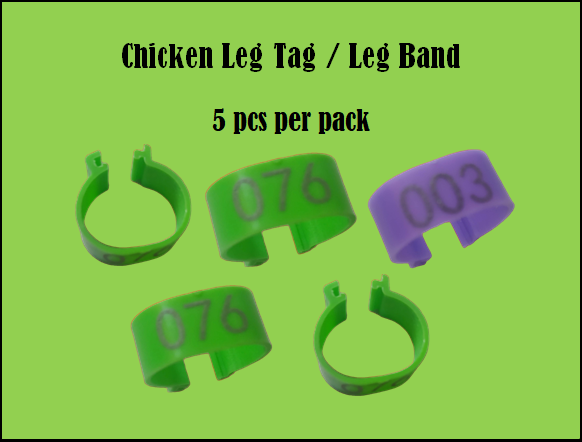 Chicken Leg Band / Chicken Leg Tag / Pet Accessories / Farm & Poultry ...