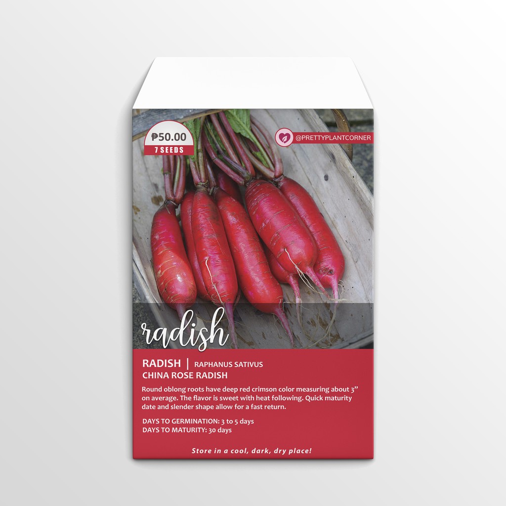 China Rose Radish Seeds | Lazada PH