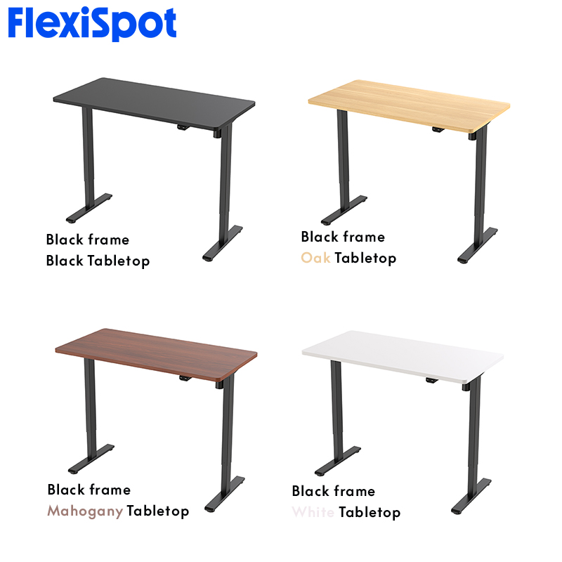 FlexiSpot E2 Standing Desk Height Adjustable Table Single Motor Ergonomic Sit-to-Stand ...