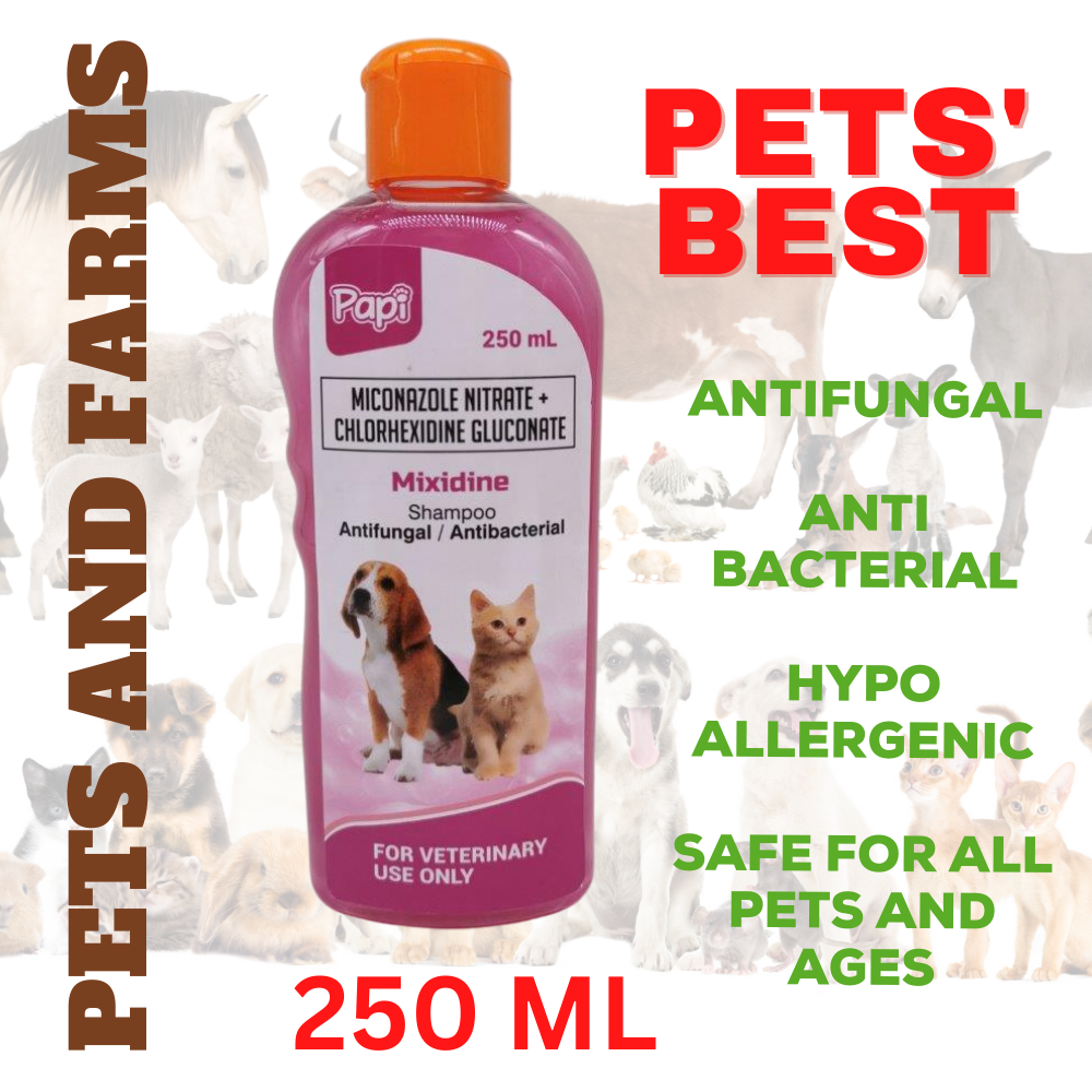 PAPI MIXIDINE DOG SHAMPOO 250 ML | Lazada PH