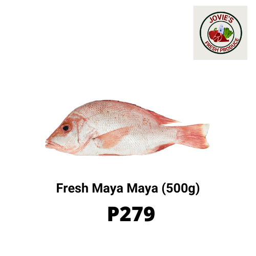Fresh maya maya (500g) | Lazada PH