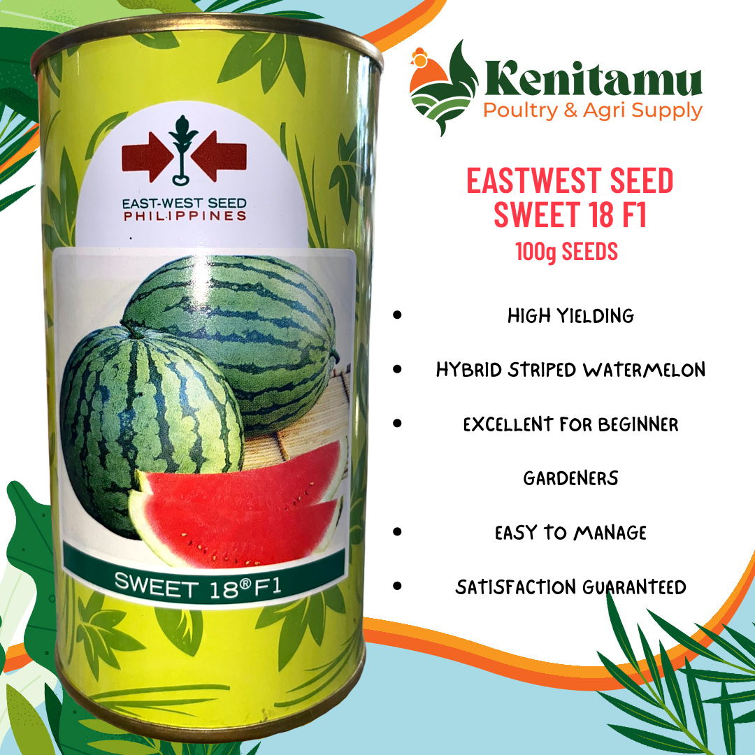 WATERMELON SWEET 18 F1 100g BY: EASTWEST SEED | Lazada PH