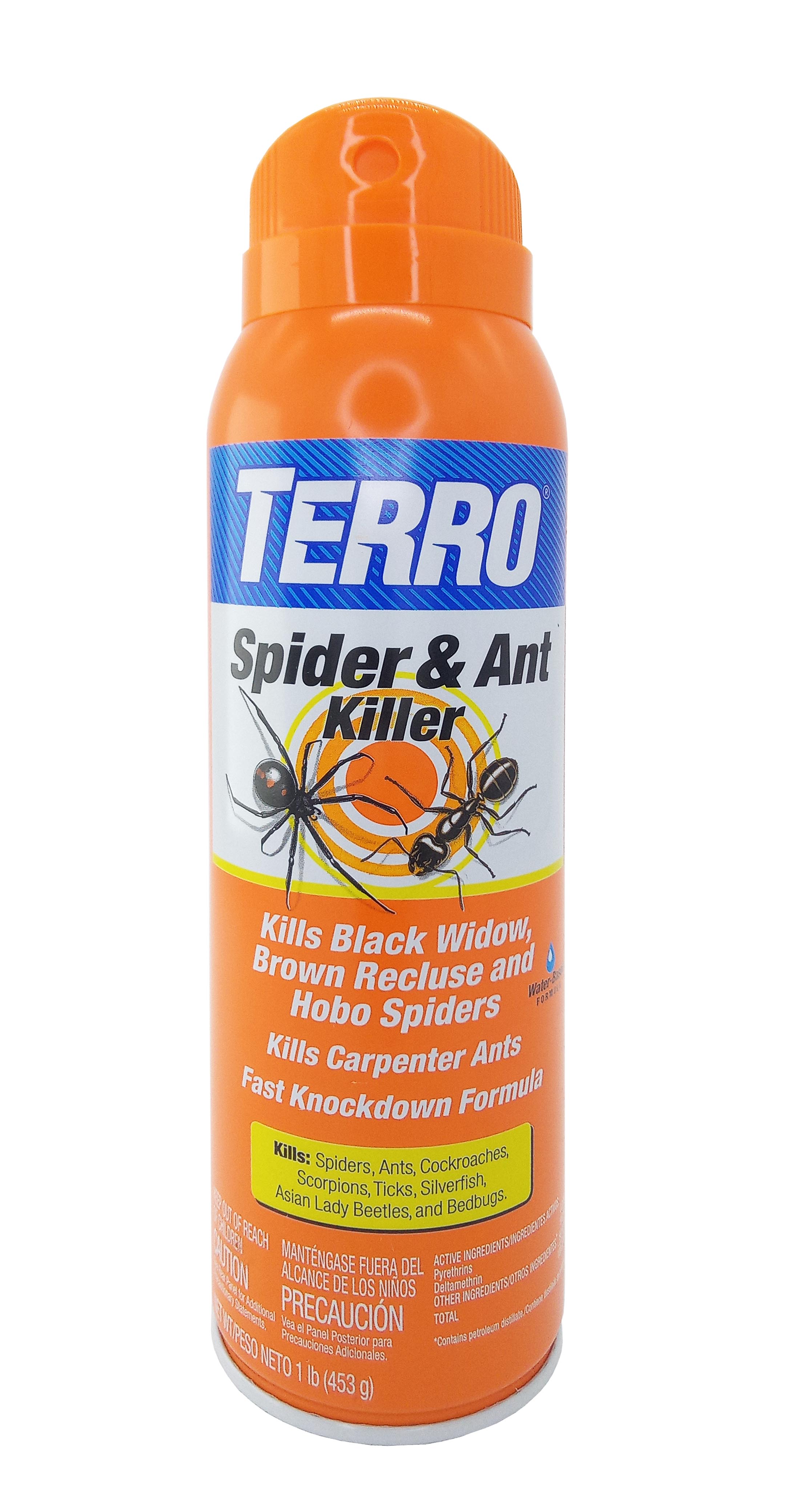 Terro Spider & Ant Killer Spray 1lb 453g | Lazada PH