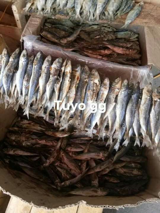 DRIED Tuyo Fish /TUYO / 1/2kilo | Lazada PH