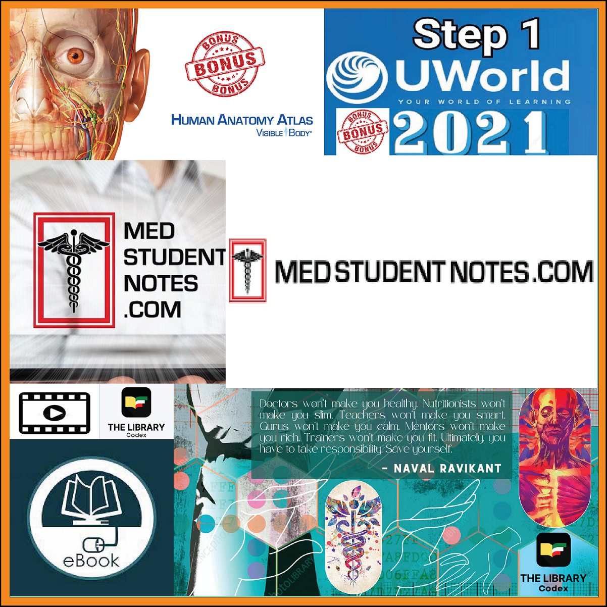 MedStudentNotes Full Version-MedStudent Notes Medical Notes MBBS ...