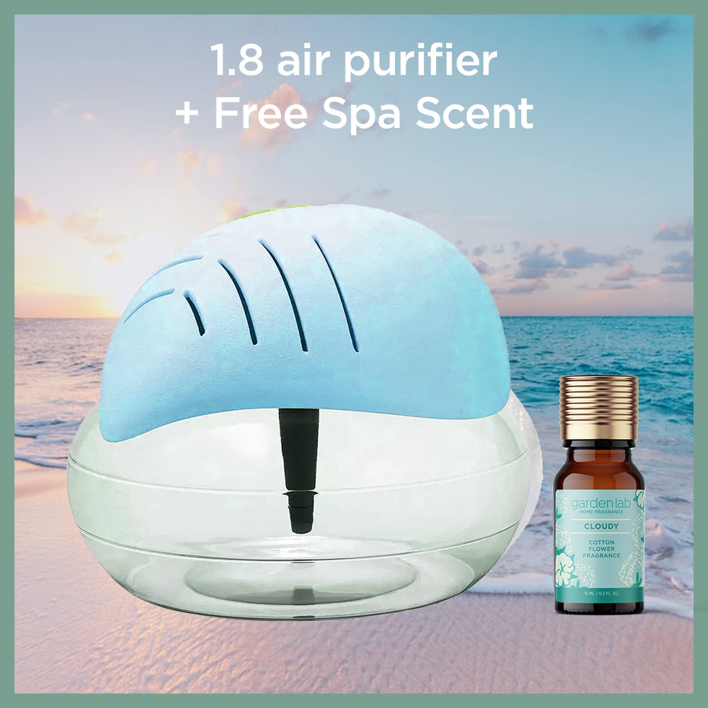 BC Garden Lab Air Purifier Revitalizer in Assorted Colors, Black and ...