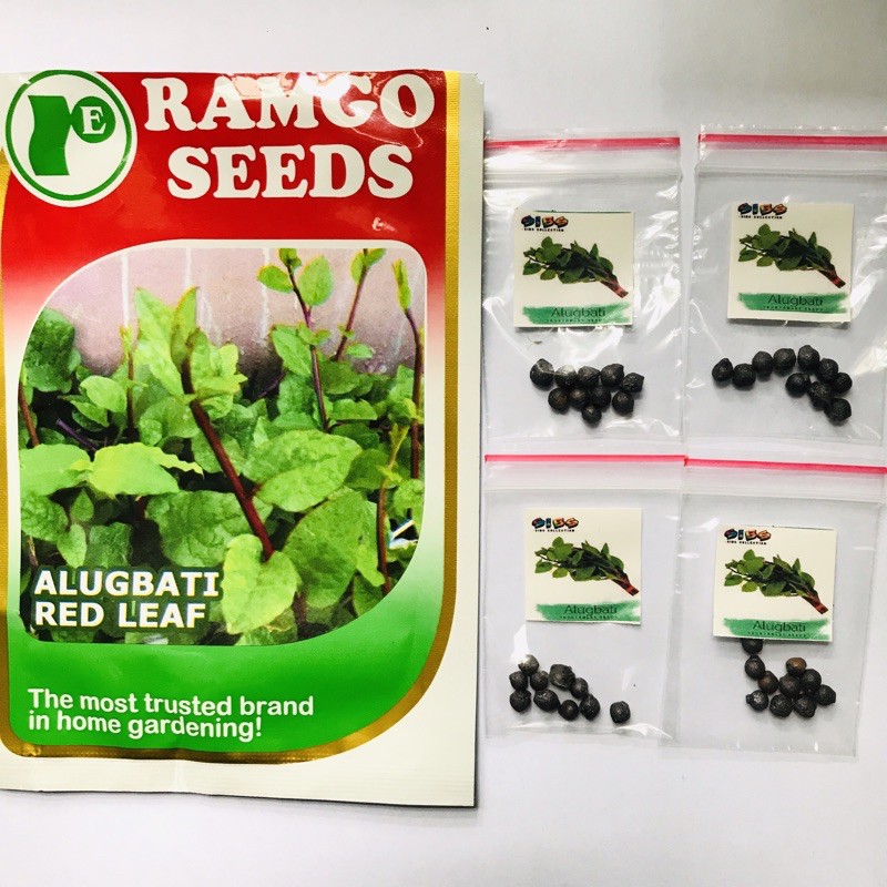 [SIBS Collection] Alugbati Vegetable Plant Seeds RAMGO (Repacked ...