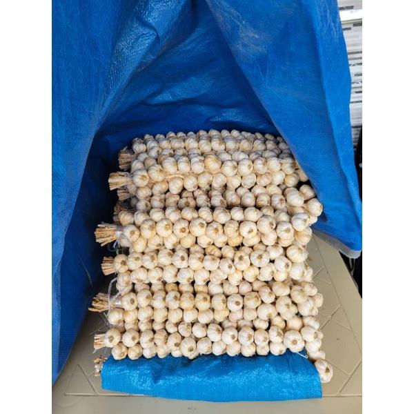 1kg Native Ilocos Bawang / Garlic (Braided).. | Lazada PH