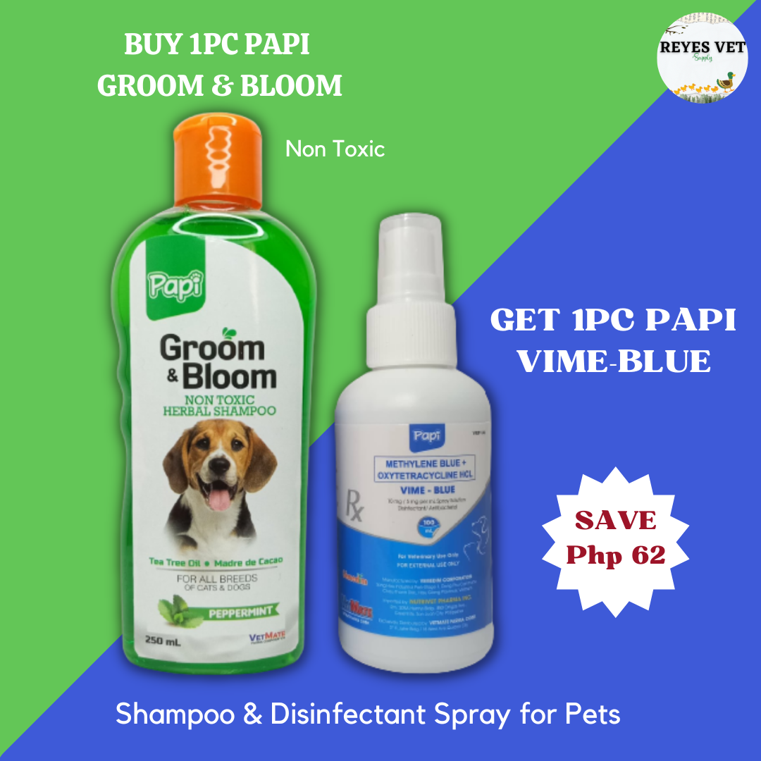 [VET SUPPORT] BUY 1PC PAPI GROOM & BLOOM Non-Toxic GET 1 PAPI VIME-BLUE ...