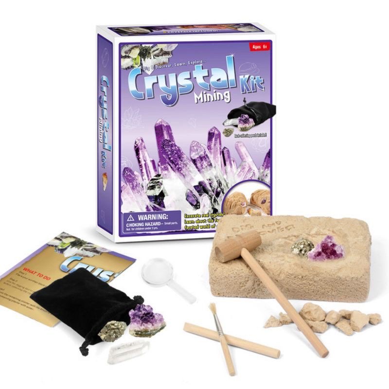 Excavation Kit/ Dig and Discover Dinosaur/ Archaelogy Paleontology for ...