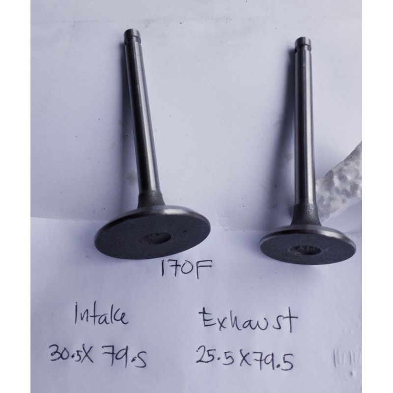 Yamma, Yamada, Kingstone Engine Valve set 170f for aircooled diesel ...