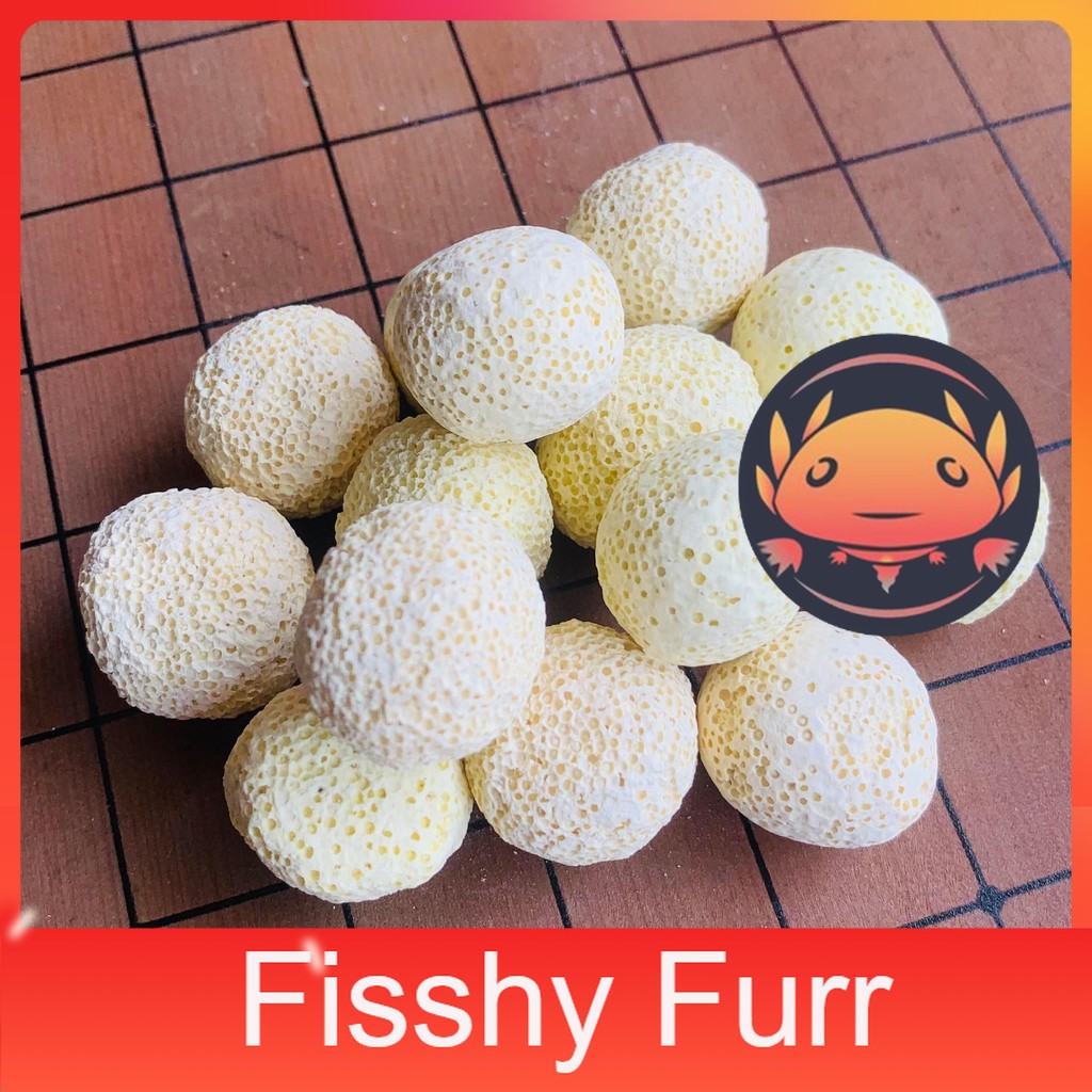 Porous Ceramic Bio Ball Filter Media 250 grams 1/4 kilo | Lazada PH