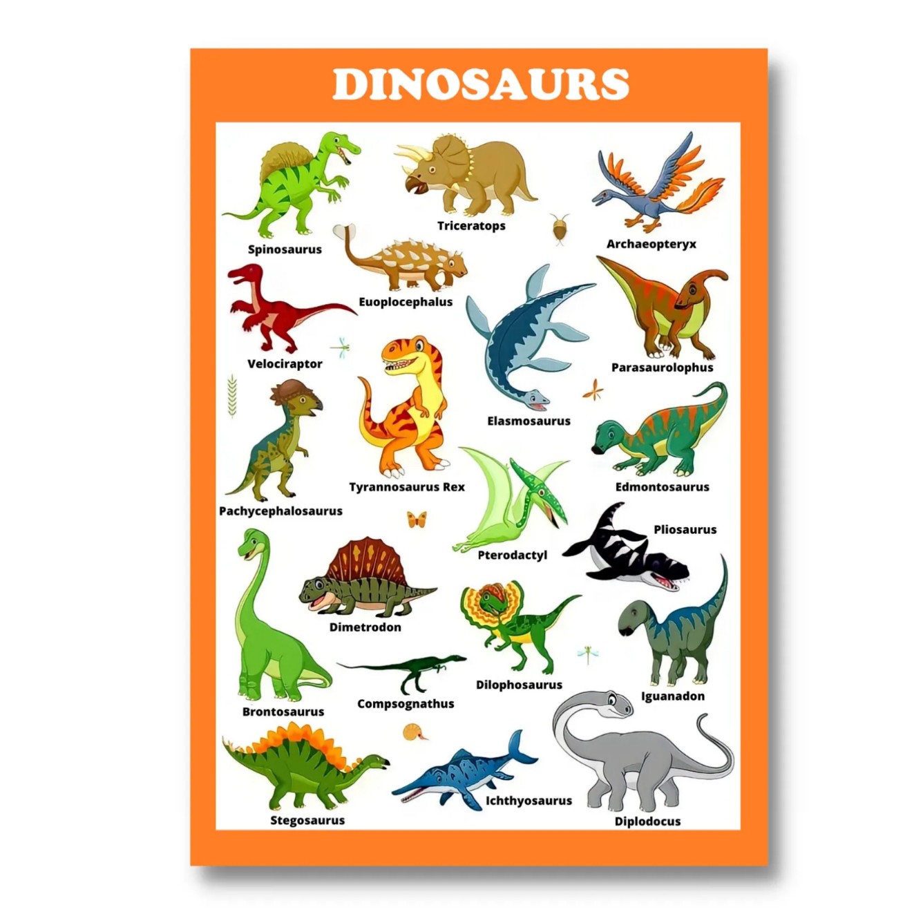 Laminated Dinosaur Charts, Educational Charts for Kids, Learners and ...