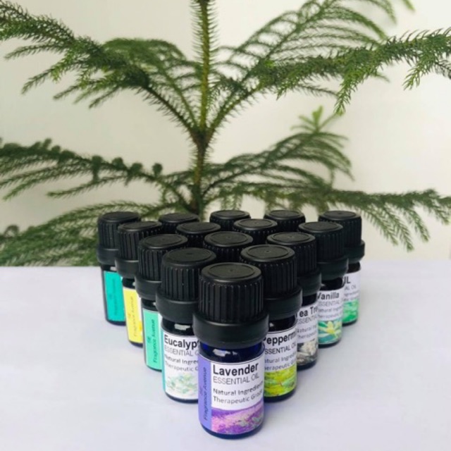 Essential Oils ( 5ml ) #2 | Lazada PH