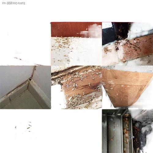 COD Queen ants dieinfect each otherdie quickly.Termite Killer termite x ...