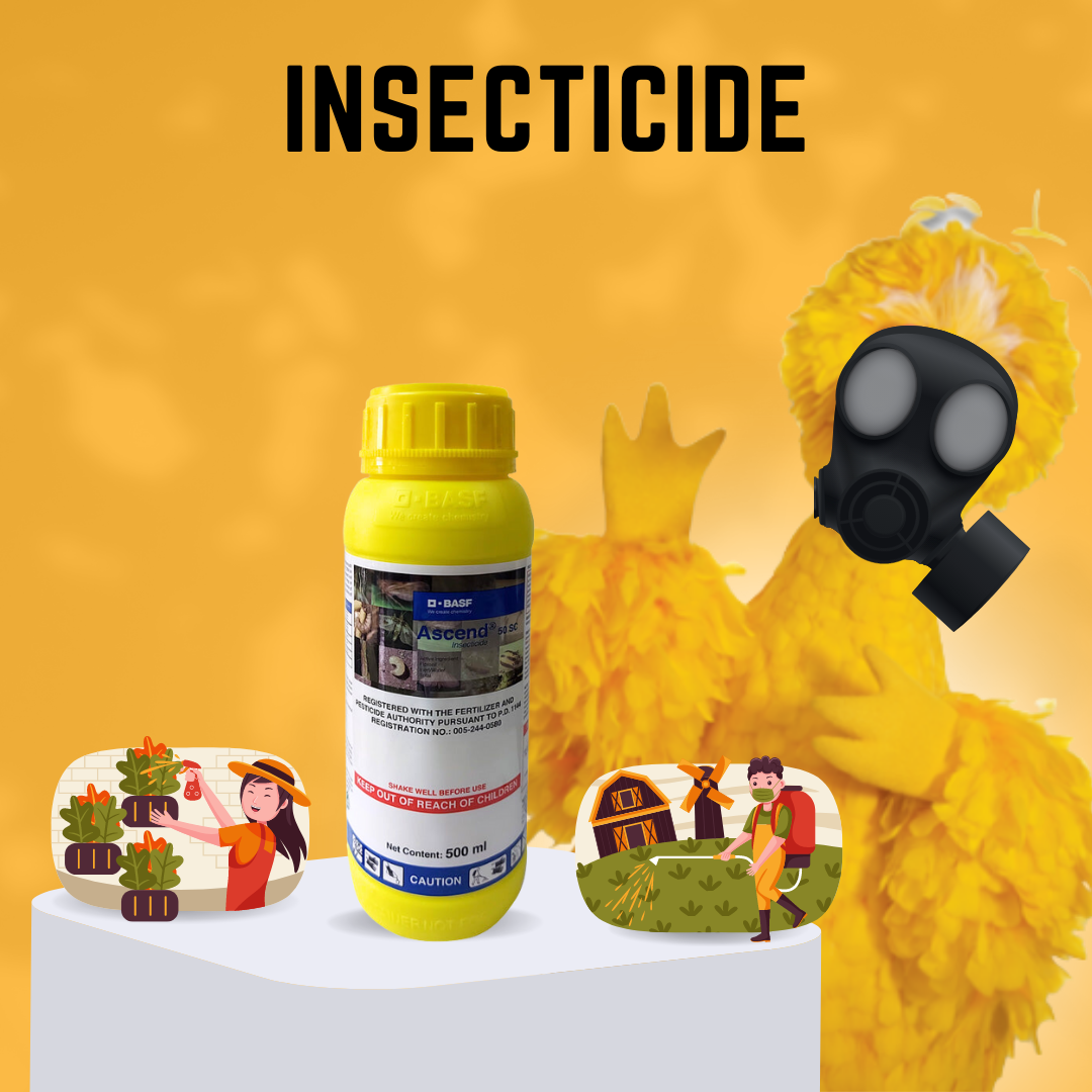 ASCEND 50SC | FIPRONIL | INSECTICIDE - 500ML | Lazada PH