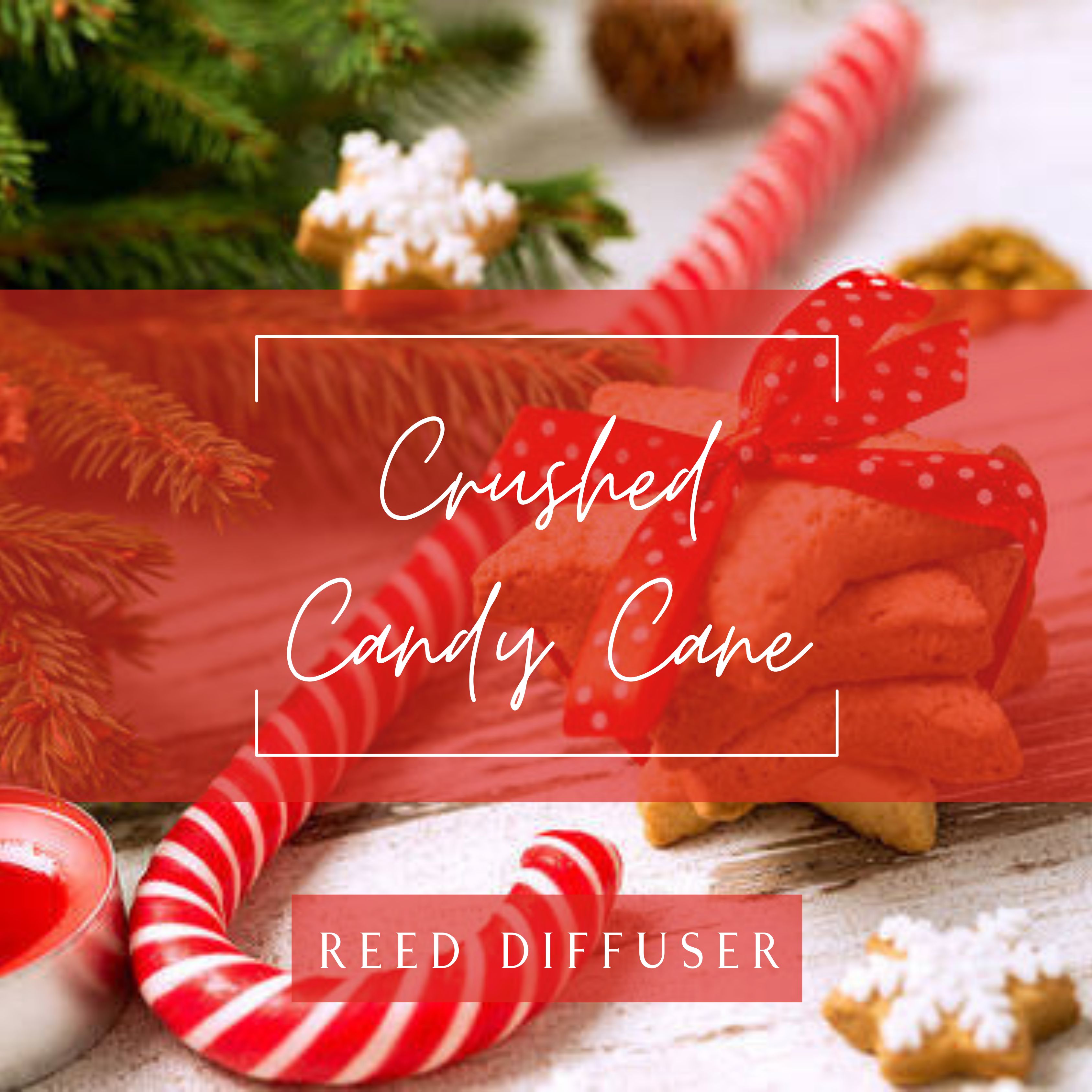 HERMOSA CHRISTMAS SCENTS REED DIFFUSERS HOME FRAGRANCE Free Reed Sticks ...