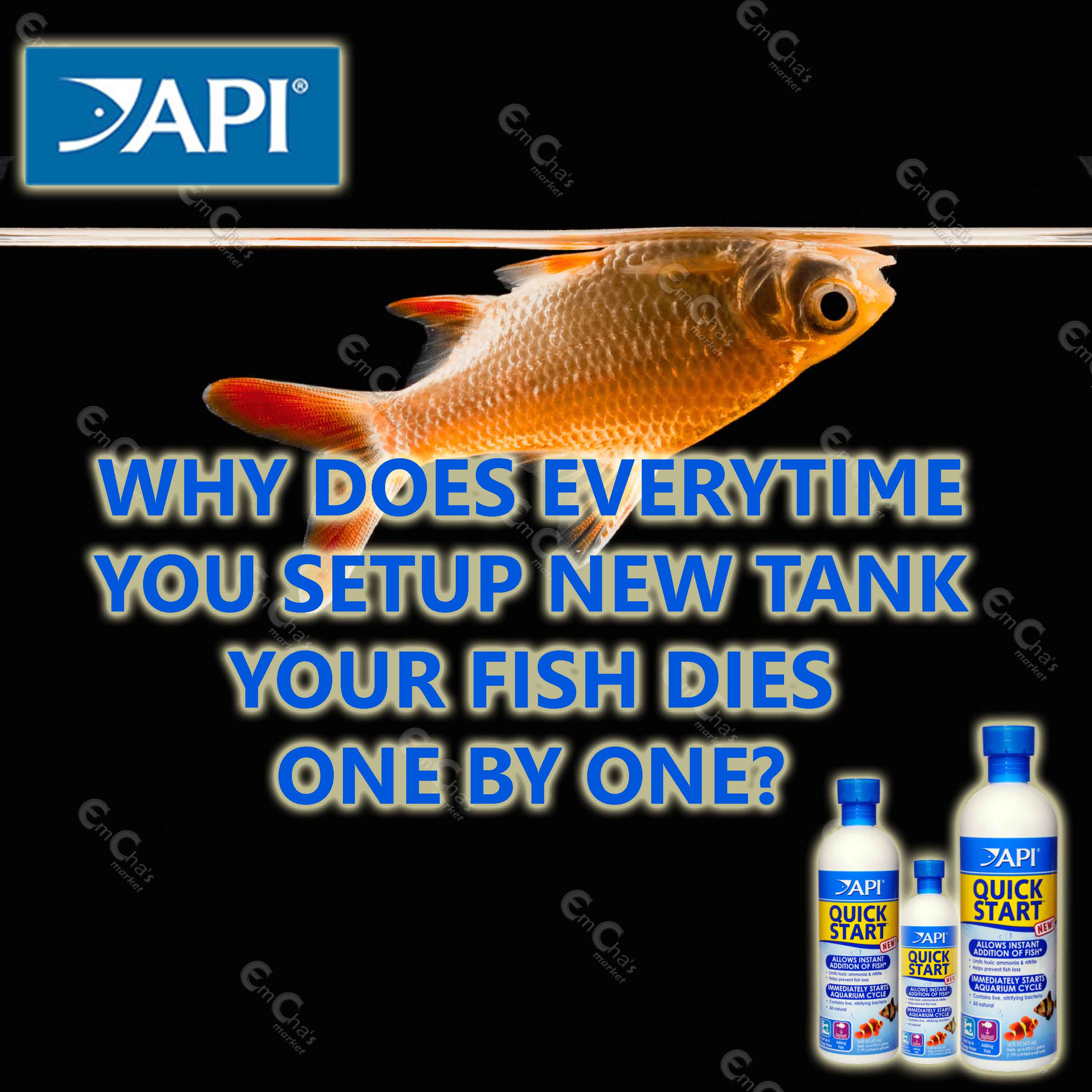 API Quick Start Treatment for Instant Cycle Aquarium Setup, Nitrifying ...