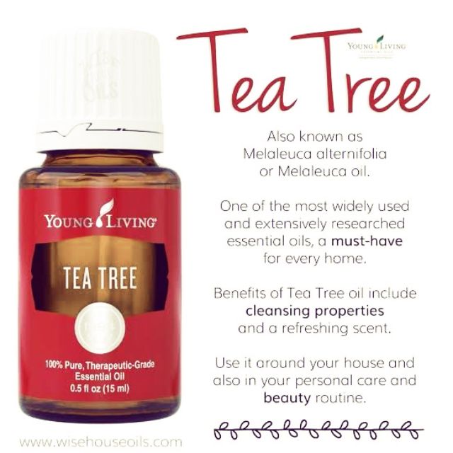 Melaleuca Alternifolia Young Living