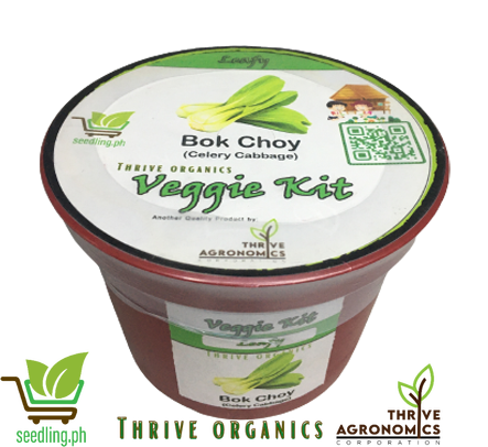Bok Choy | Pak Choi | Pok Choi | Chinese Cabbage | Green Leafy Veggie ...