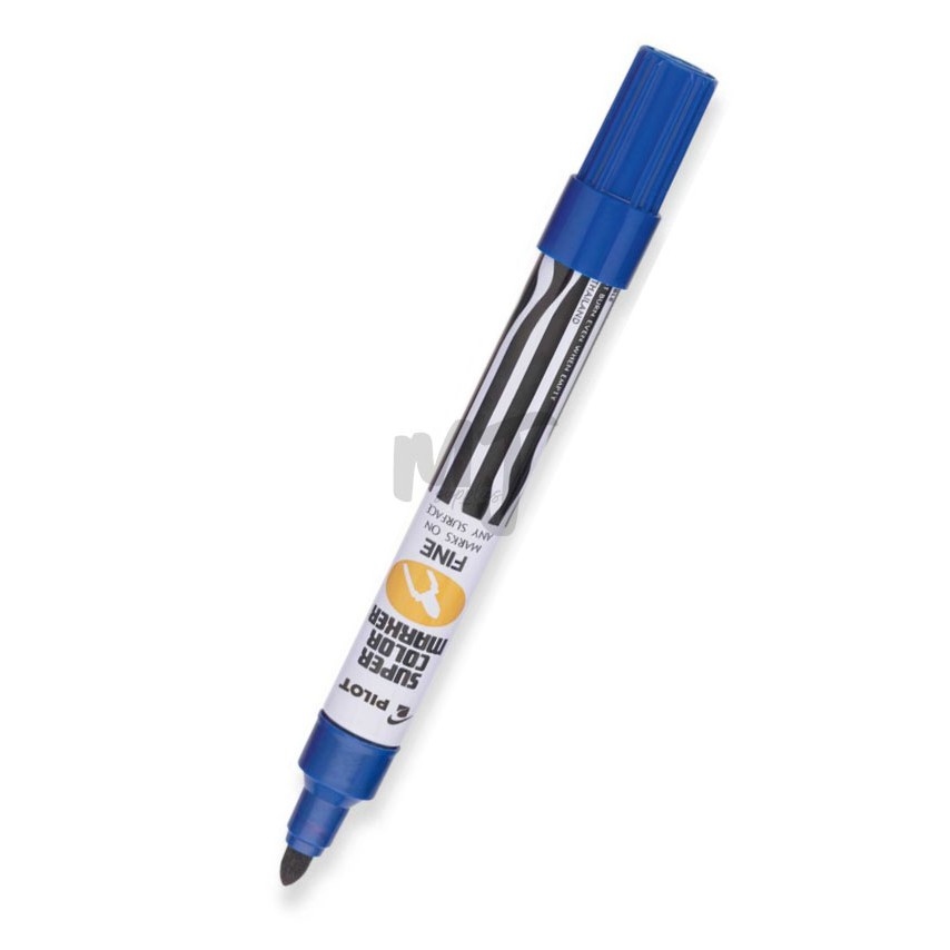 Pilot Super Color Permanent Marker FINE and BROAD (pentel pen) | Lazada PH