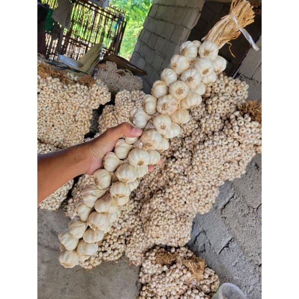 Edible oil 1kg Native Ilocos Bawang / Garlic (Braided) | Lazada PH