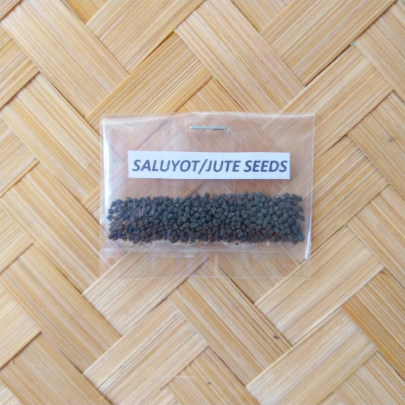 Linbeibei/ Saluyot Jute Seeds (500seeds/Pack) | Lazada PH