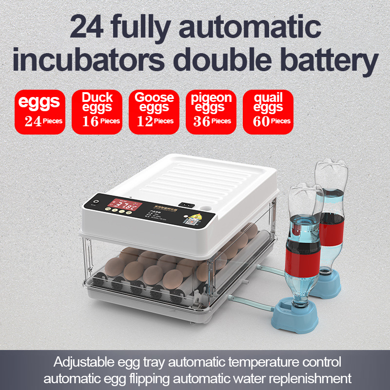 egg incubator fully automatic 300 Egg incubator All-in-one hatching and brooding machine ...