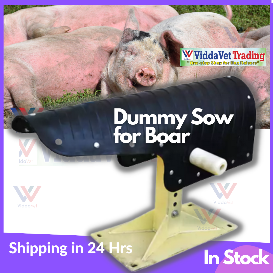 Dummy sow for pig boar animal artificial insemination dummy sow for ...