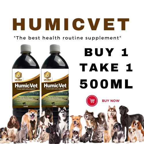 Buy 1 Take 1 Humicvet 500mL Liquid Supplement for All Pets Appetite and ...