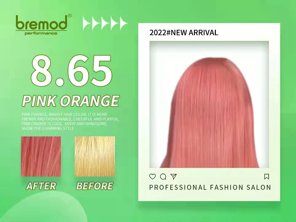 Bremod Performance NEW Hair Color 100ml - Purple Ash , Chestnut , Ash ...