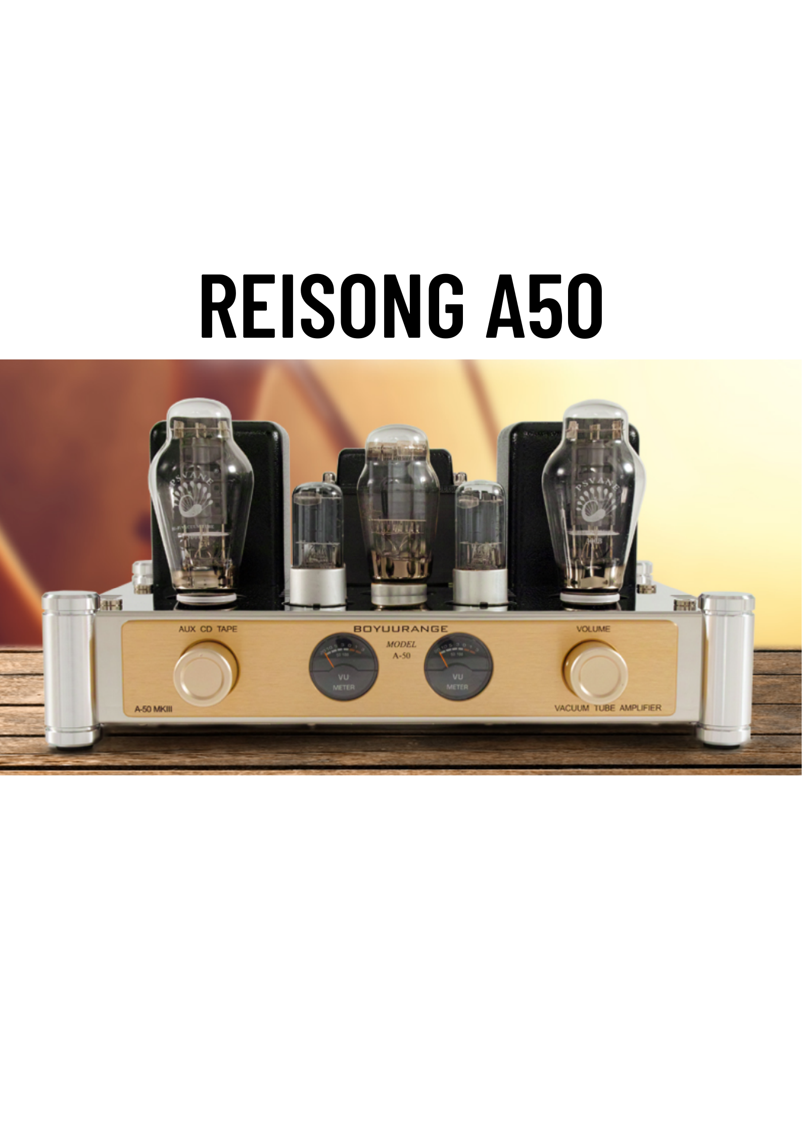 Reisong A50 HiFi Intergrated Vintage Vacuum Tube Amplifier | Lazada PH