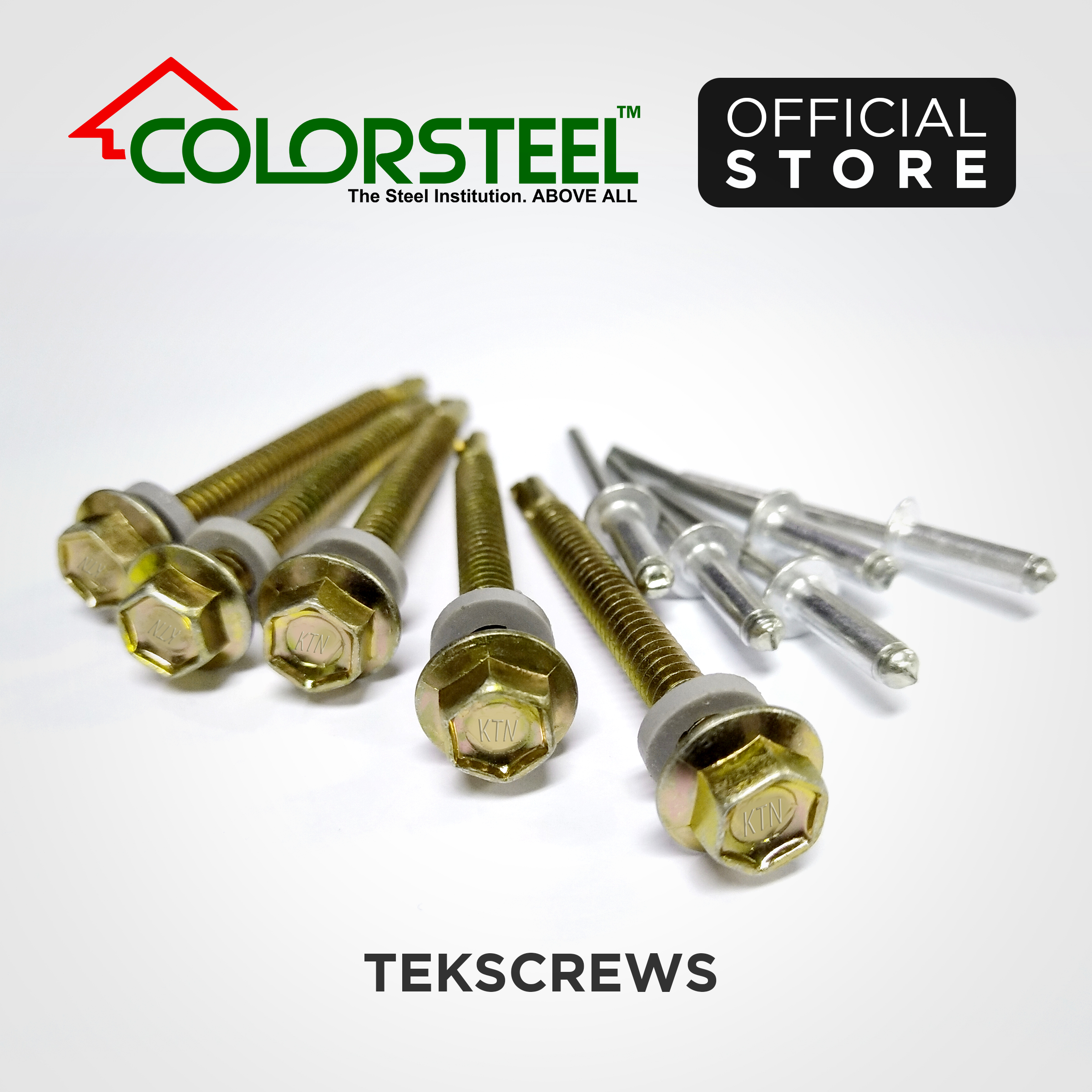 Colorsteel Tekscrew | Steel | 100 PCS | Lazada PH