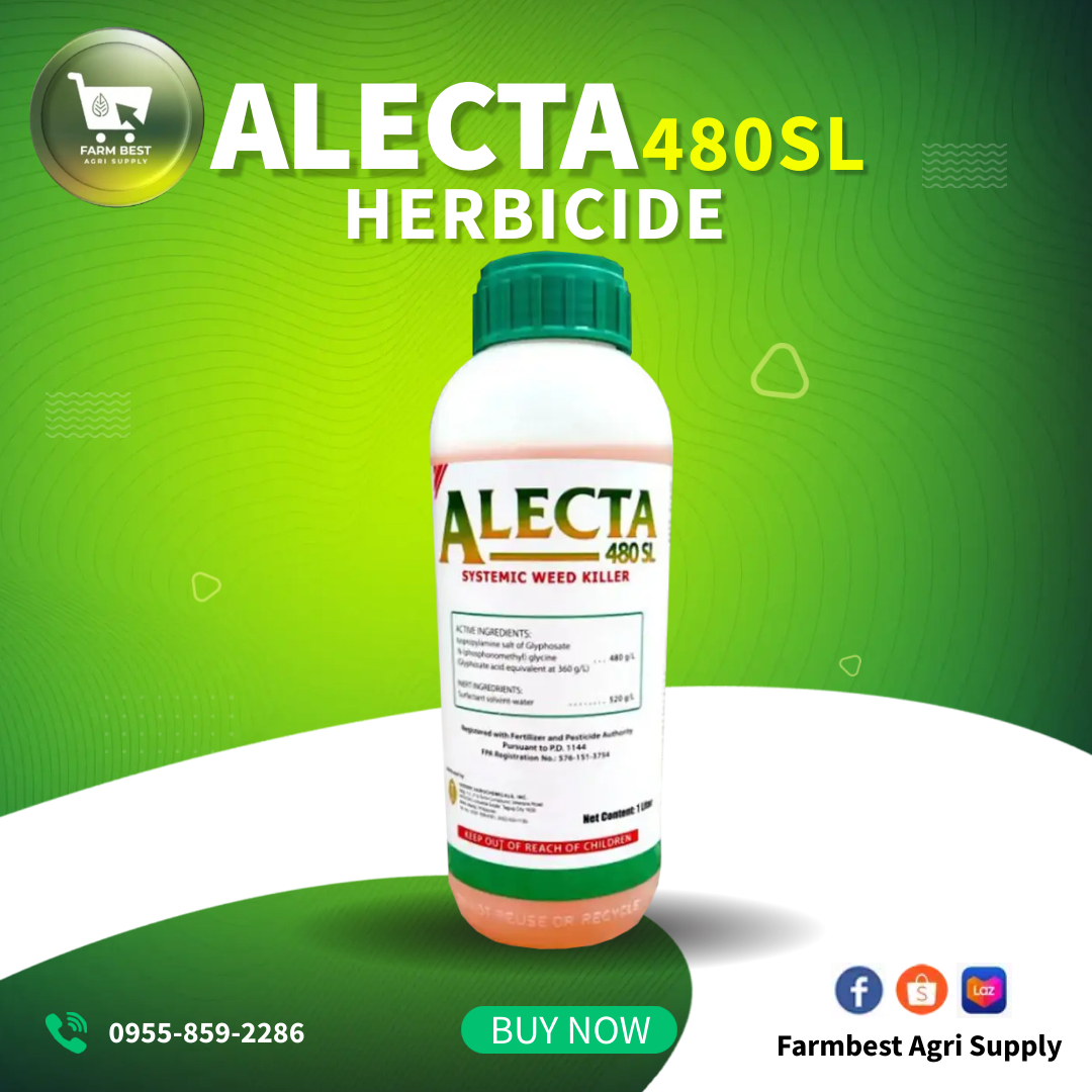 ALECTA 480SL HERBICIDE 1L | Lazada PH