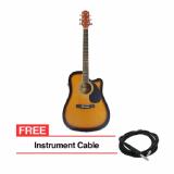 Fernando DG-200Ce Steel-String Acoustic Guitar with Pickup and Tuner ...