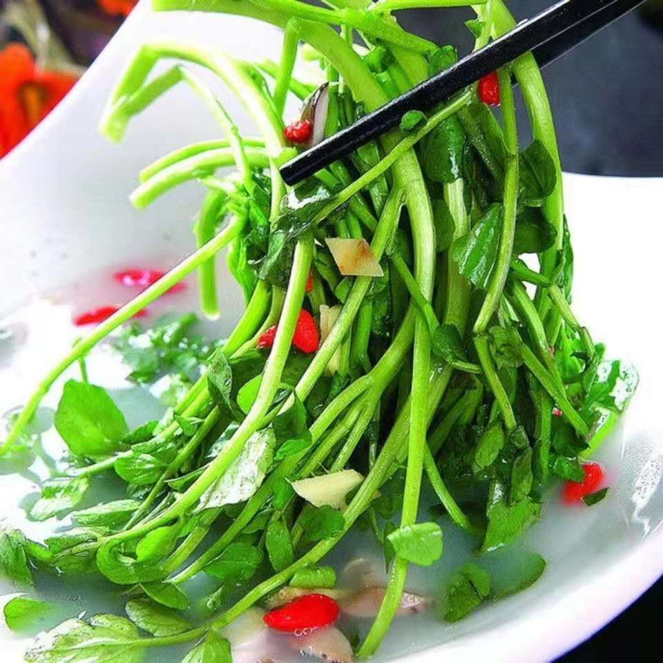 Watercress Watercress Seeds Balcony Pot Farm Wild Vegetable Seeds Four ...