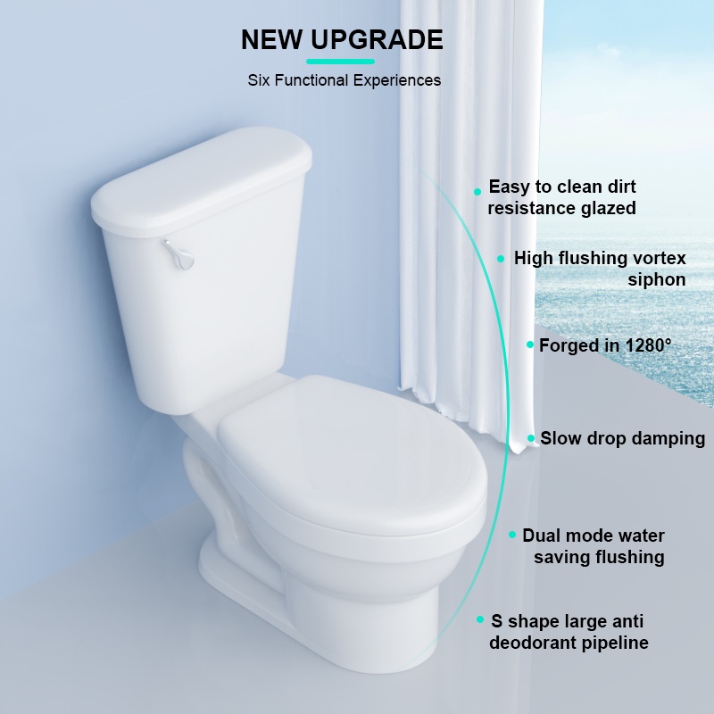 Pelise Ceramic Water Saving Toilet Bowl Set With Seat Cover And Flush ...