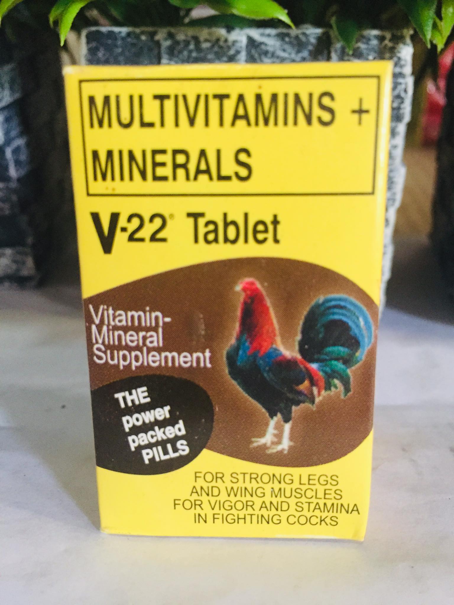 V-22 Tablet (30 tablets) | Lazada PH