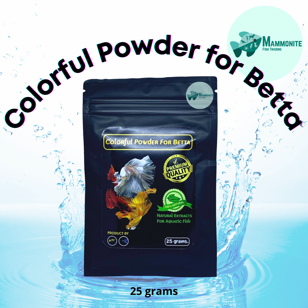 Ketapang Powder 25g Advanced Grooming For Betta Tannins Talisay Indian ...