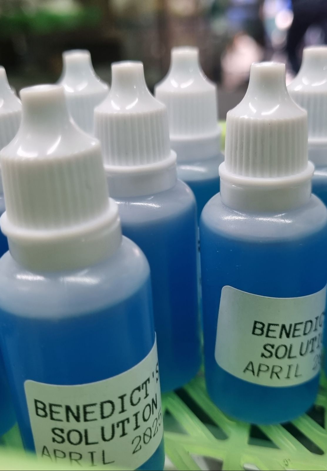 Benedict Solution Acetic Acid 20ml | Lazada PH