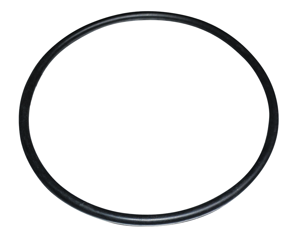 Jet-Flo Body O-ring for SBP100 | Lazada PH