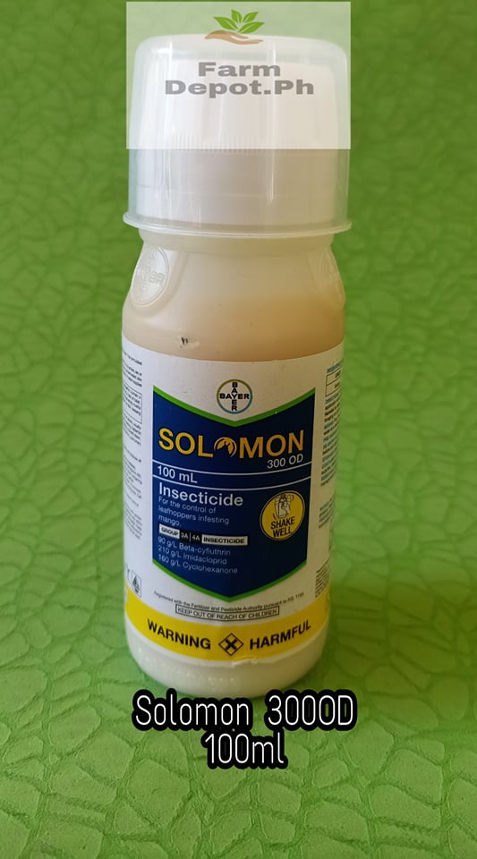 Solomon Insecticide Imidacloprid and Beta-Cyfluthrin 100ml | Lazada PH