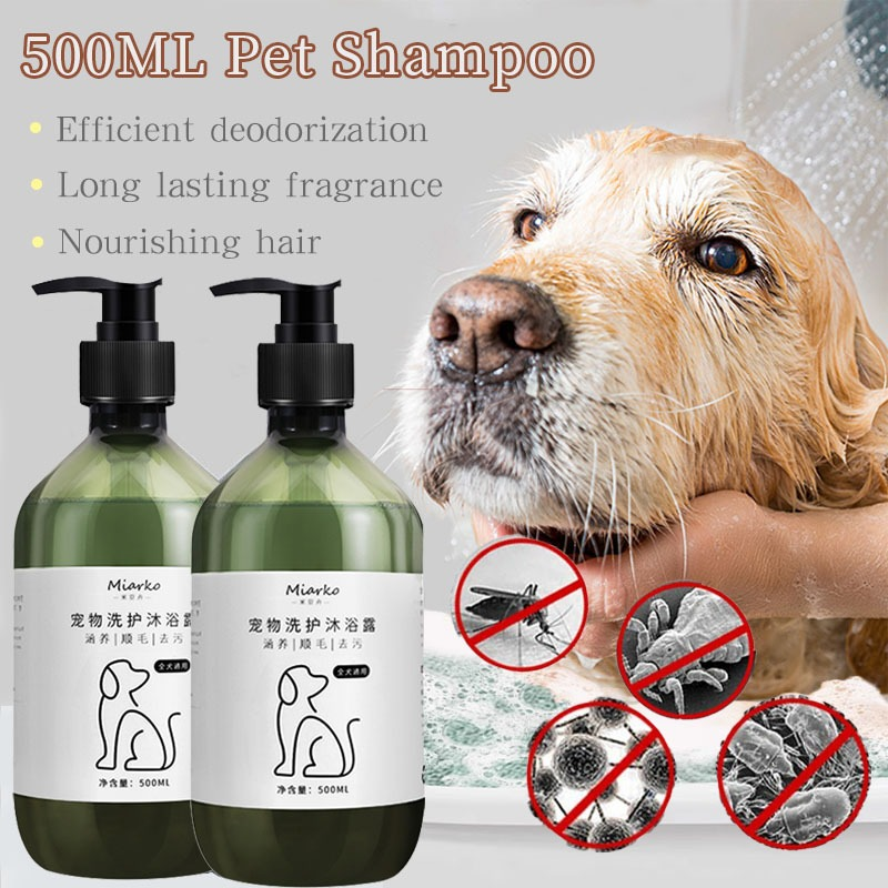 Antifungal Shampoo For Dogs Philippines at Oscar Levy blog